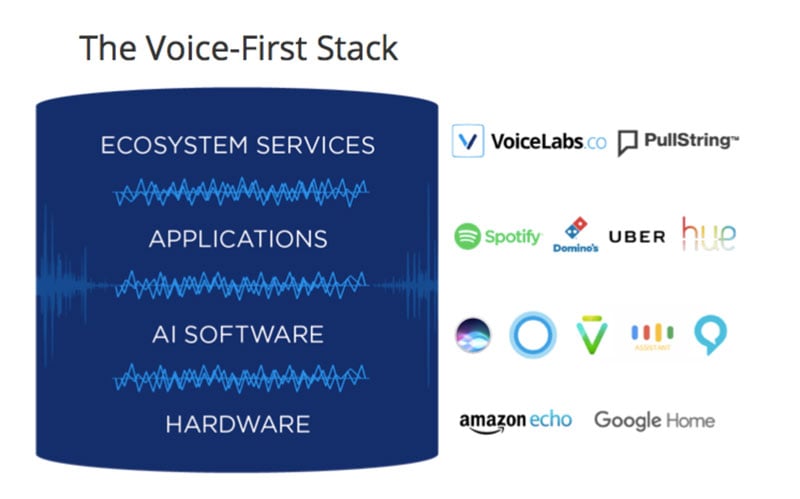 State of Voice Platforms